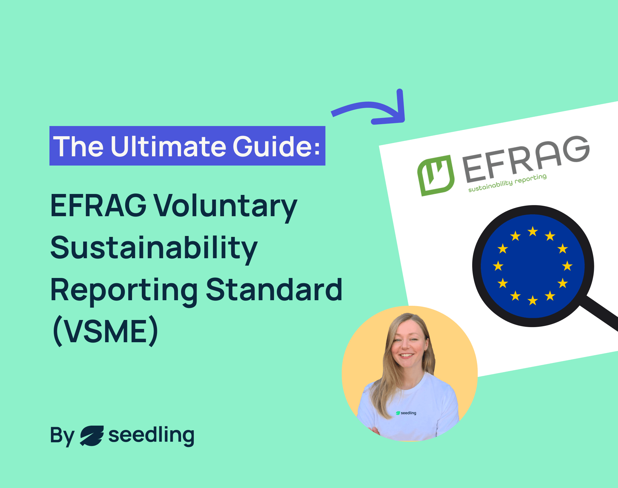 VSME explained: what the EU’s Voluntary Standard for SMEs means for growing businesses | Seedling